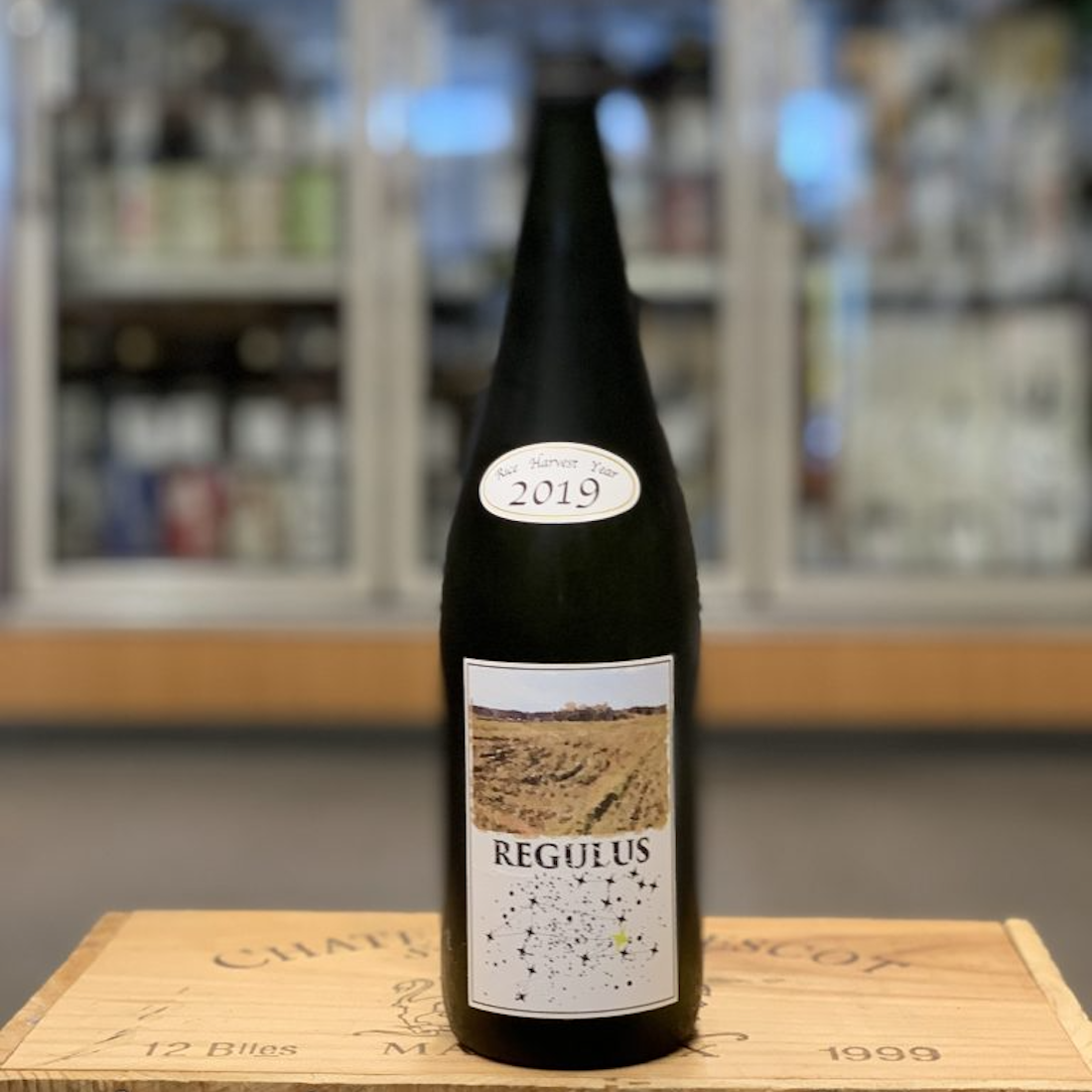 あべ REGULUS 獅子座 - 島羽 | WINGISLANDS